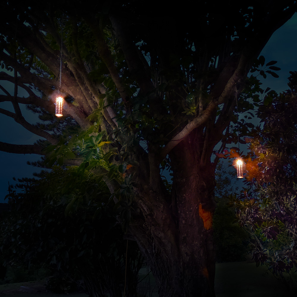 Sunset Evening Tree Lights Creates Magical Ambiance – Total Lighting Blog